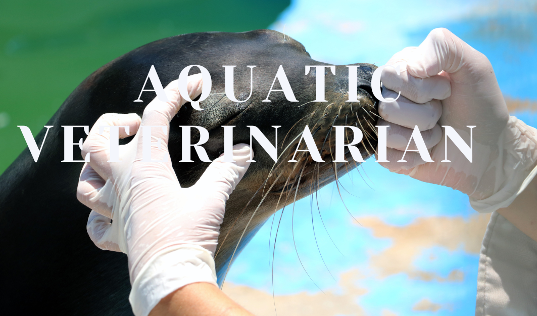 Aquatic Veterinarian - CESAME - Cal Poly, San Luis Obispo